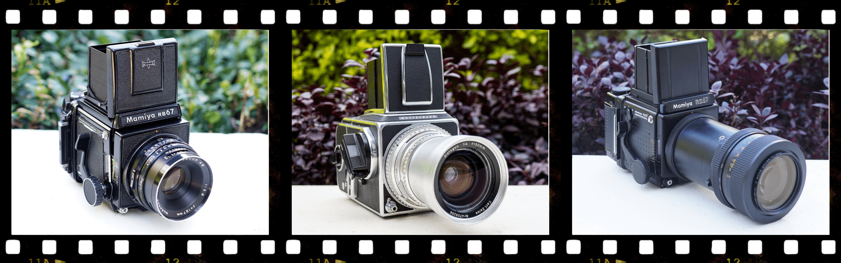 Medium Formats – Australian Analog