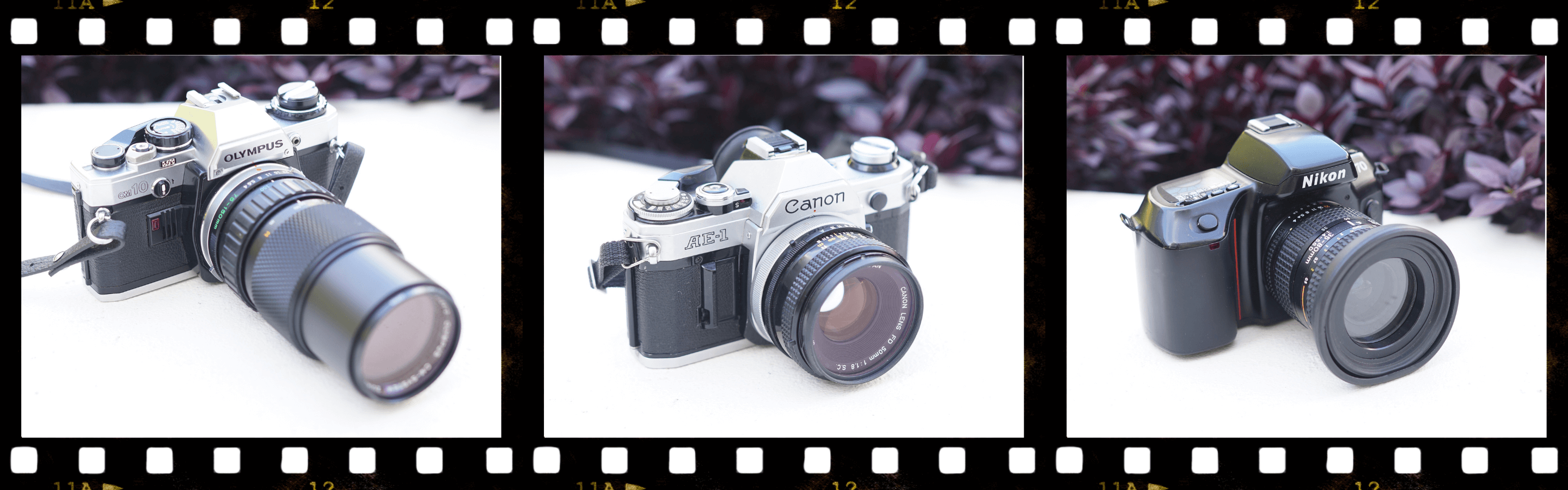 SLRs & Rangefinders – Australian Analog